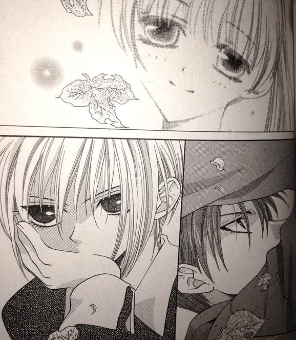 Chapter 6: A Rice Ball in a Fruits Basket – Eucatastrophe